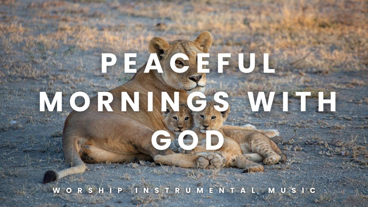 PEACEFUL MORNINGS WITH GOD | 1 Hour Instrumental Worship | Prayer Music ...