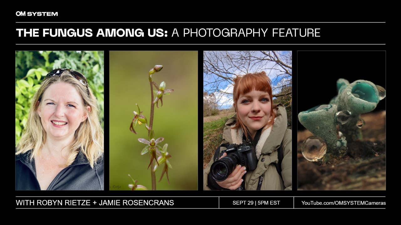 The Fungus Among Us with Robyn Rietze + Jamie Rosencrans - YouTube