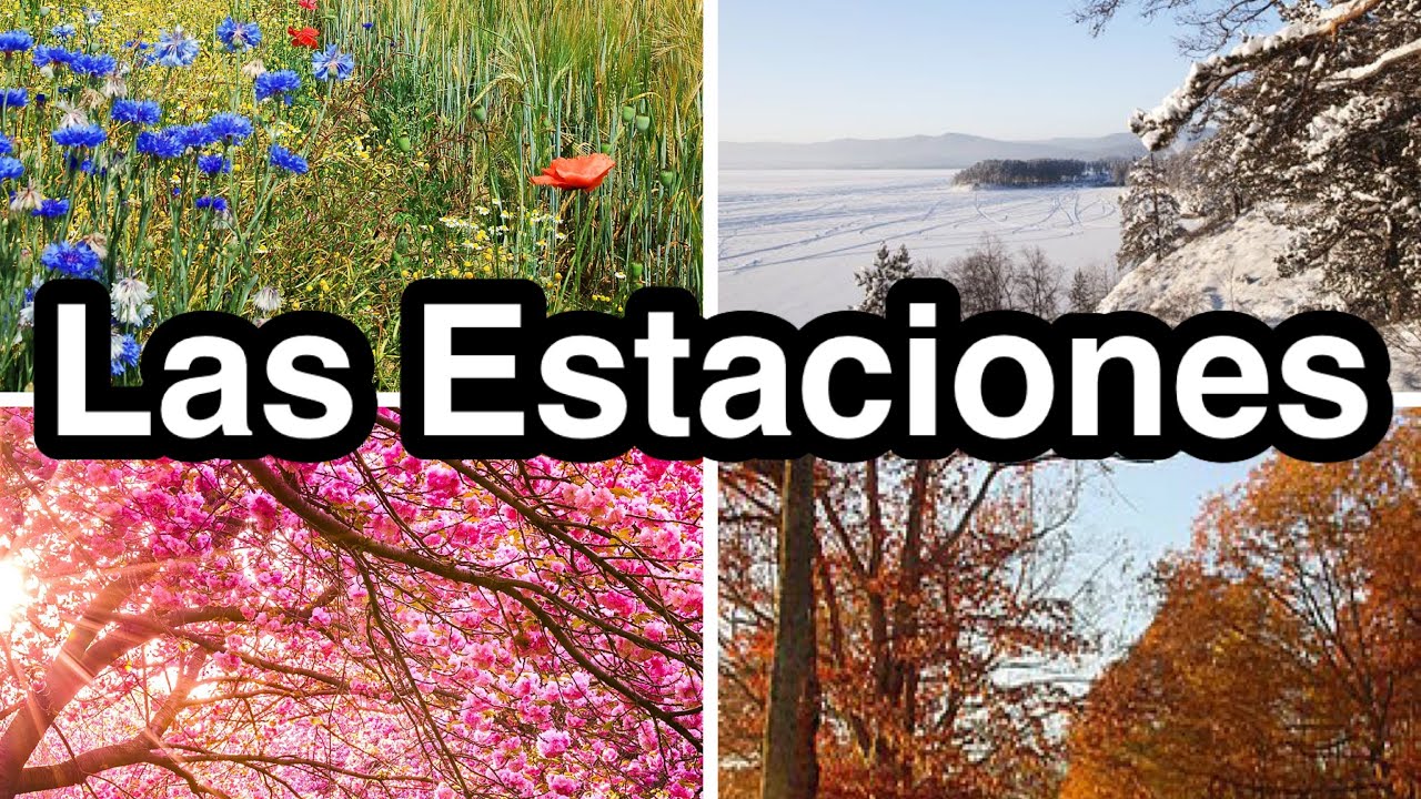 Las Estaciones en Español - YouTube
