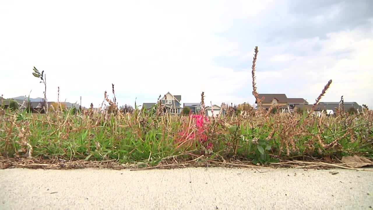 Ground penetrating radar helps define unmarked Helena cemetery - YouTube