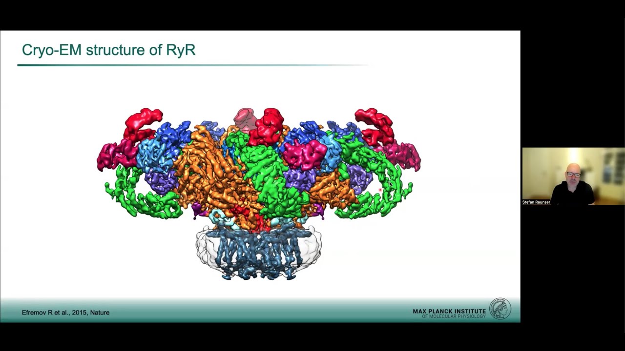 Bringing life into frozen proteins to elucidate their molecular ...