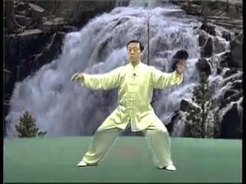 Chen style Tai Chi Laojia Yilu tutorial Chen Zhenglei 2/5 - YouTube