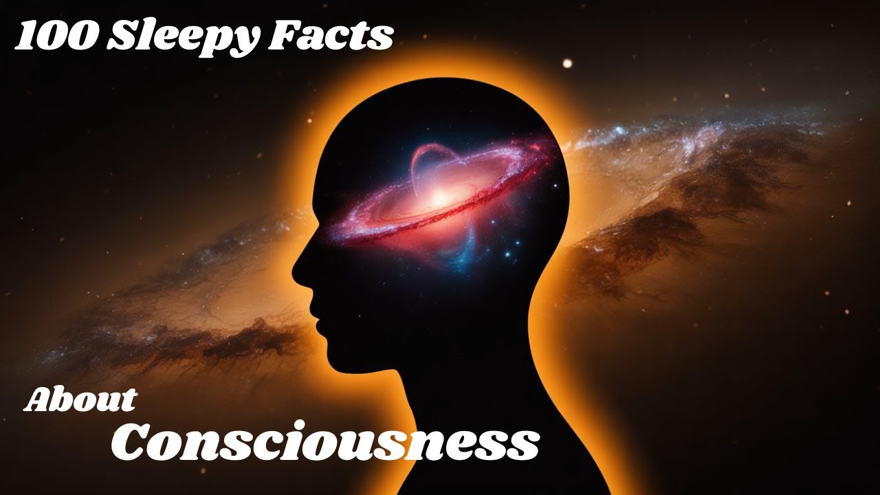 The Most Relaxing Consciousness Facts to Fall Asleep To | Dreamy ...