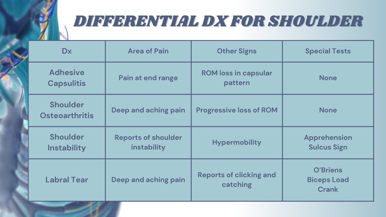 Shoulder Pathology and Differential Diagnosis with NPTE Musculoskeletal ...