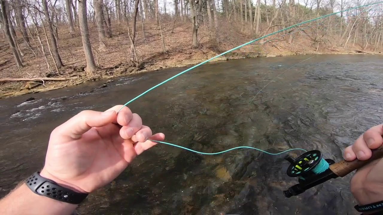 Special regulations fly fishing - YouTube