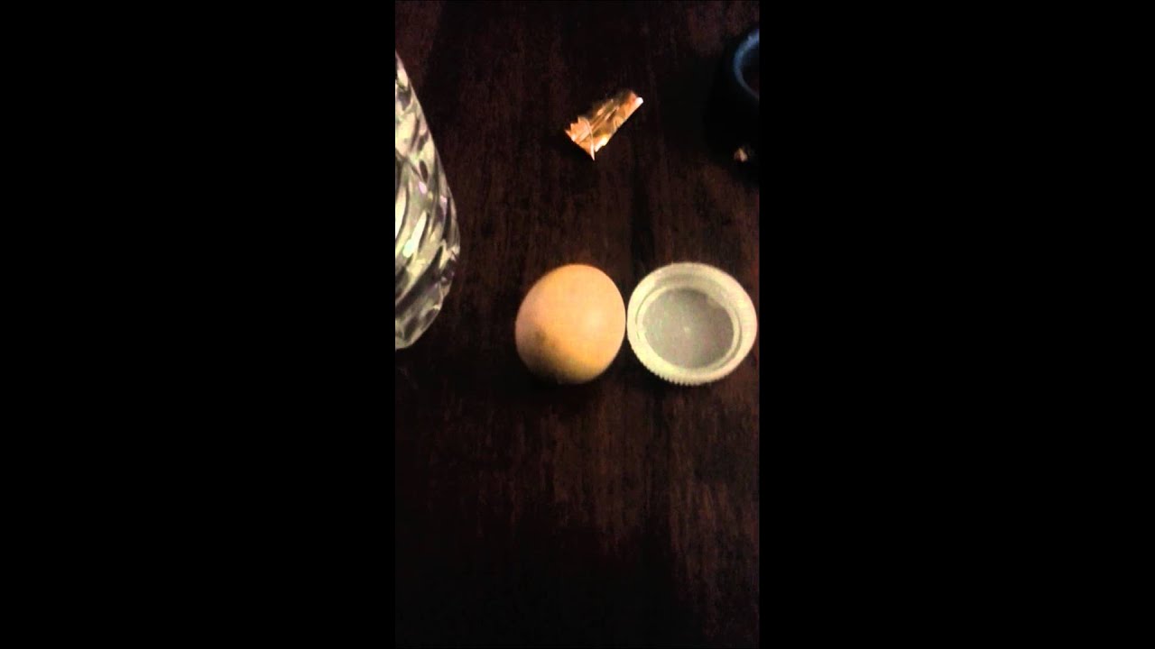 World smallest chicken eggs - YouTube