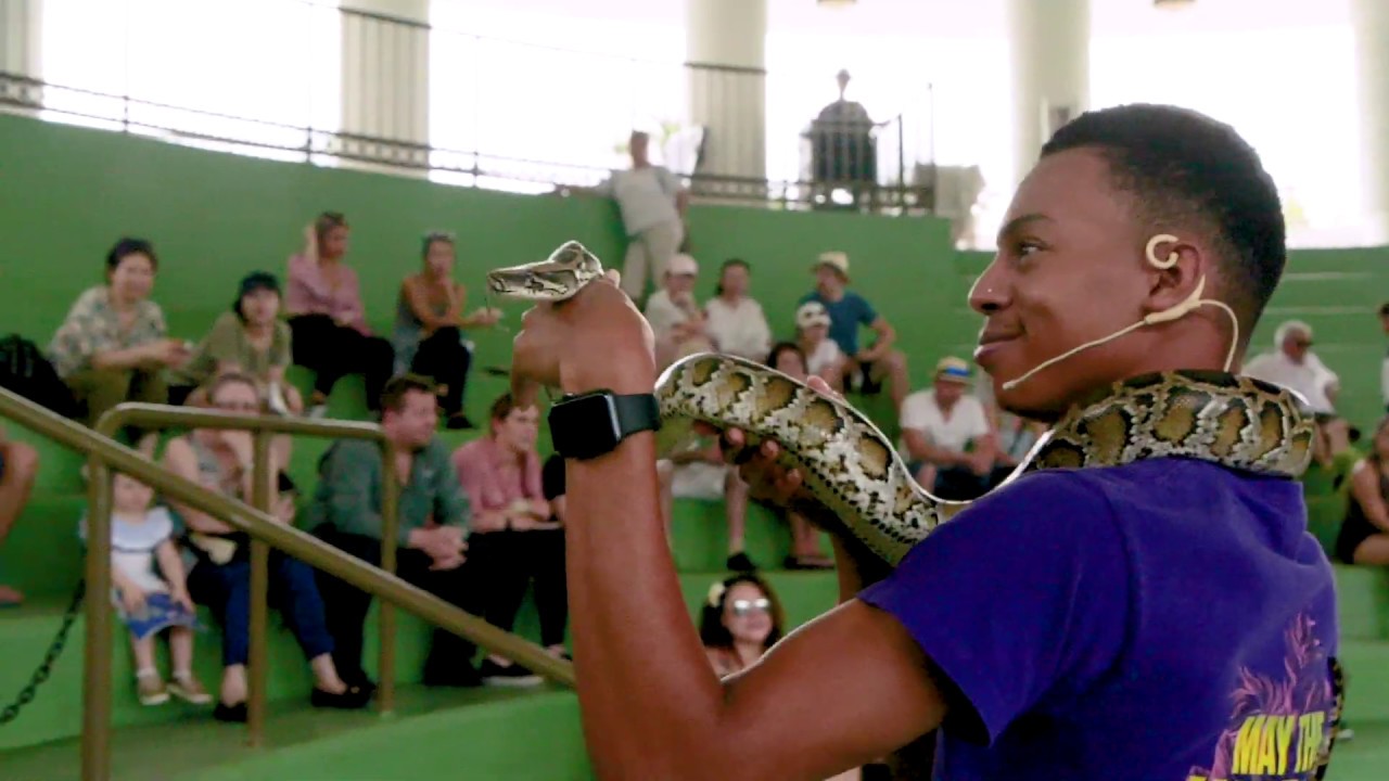 Jungle Island Reptile Show | Adventure In The Heart of Miami - YouTube