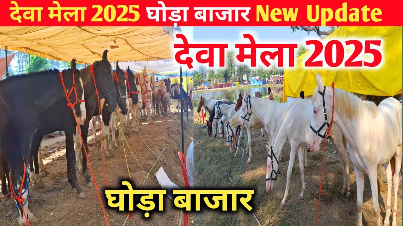Deva mela 2025 घोड़ा बाजार New Update 🐴🌻 |Dewa mela Horse Market |Deva ...