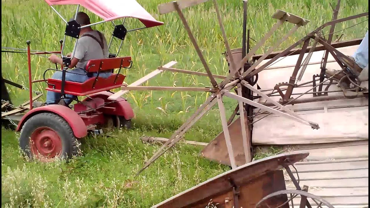 Binding oats working mules - YouTube