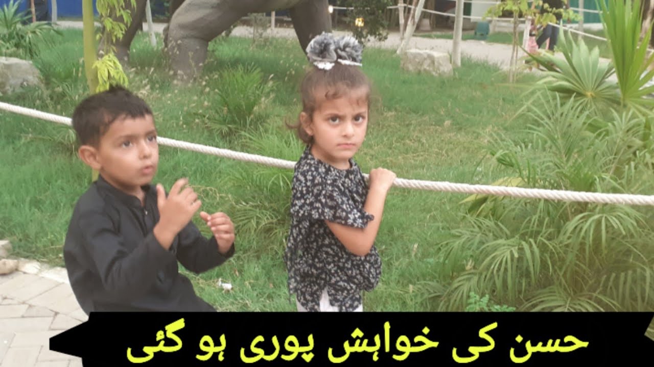Pakistani Vlog | Kracahi Safari Park Agye |Hassan Ki Sb S Bari Wish ...