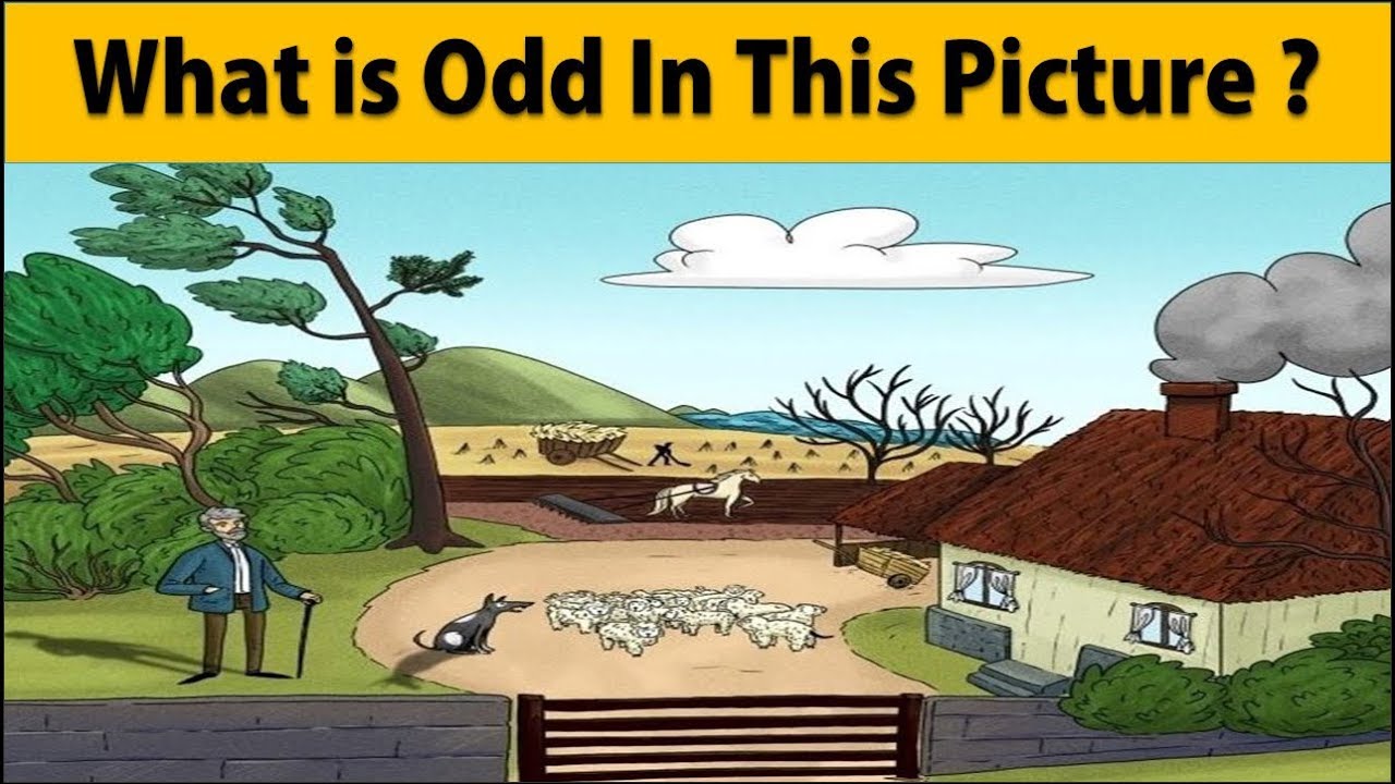PICTURE RIDDLES THAT WILL TEST YOUR LOGICAL THINKING AND VISION - YouTube