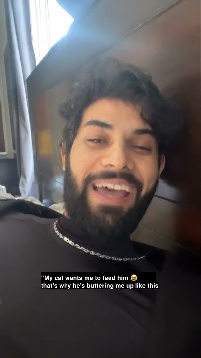 My cat wants me to feed him 😂 that’s why he’s buttering me up like this. #funnykitten #joke #cat ...