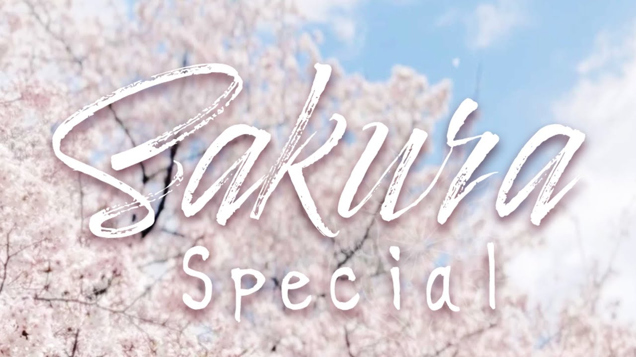 桜スペシャル with momo-Cherry Blossom Special with Momo- - YouTube
