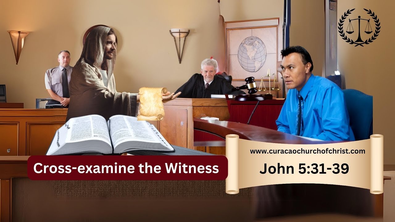 Cross-examine the Witnesses - YouTube