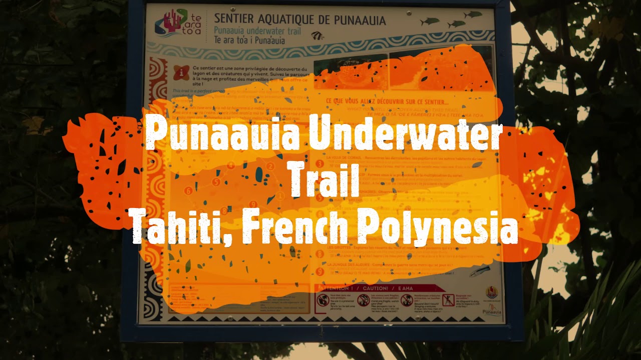 Outcomes of the Pacific Biodiversity Blue Belt Project BEST 2.0 in ...