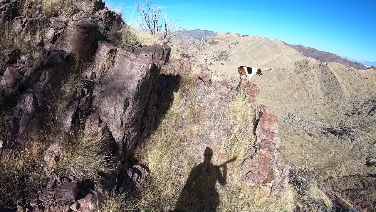 Utah Chukar Hunting - The Gates Of Hell - YouTube