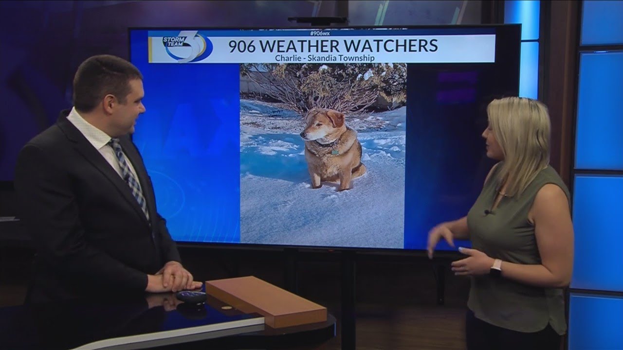 LOCAL 3 906 WEATHER WATCHERS 3/1/2023 - YouTube