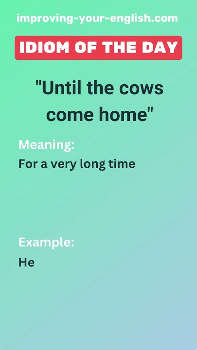 Until the cows come home - Idiom of the Day - YouTube