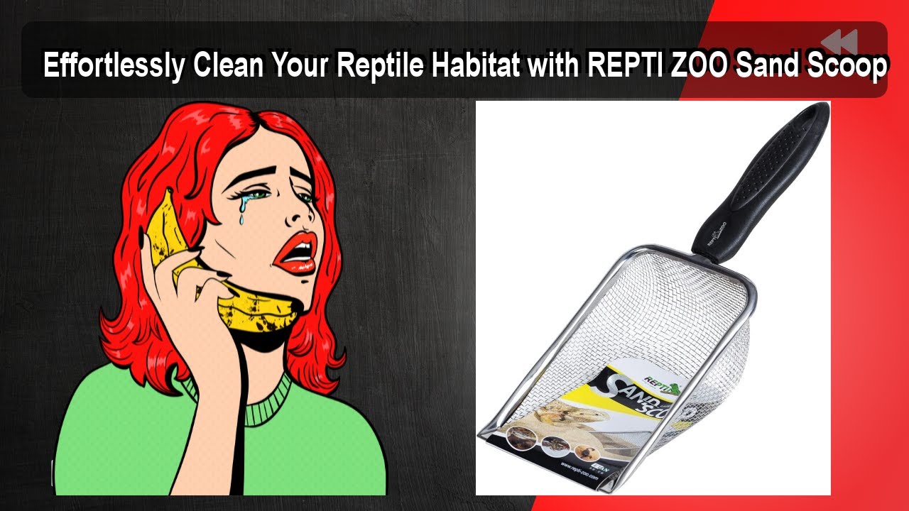 Effortlessly Clean Your Reptile Habitat with REPTI ZOO Sand Scoop - YouTube