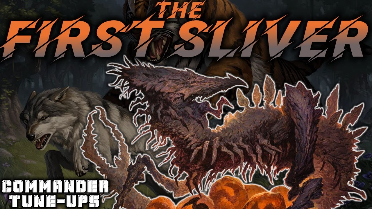 The First Sliver: Food Chain cEDH | Commander Tune-Ups #50 - YouTube