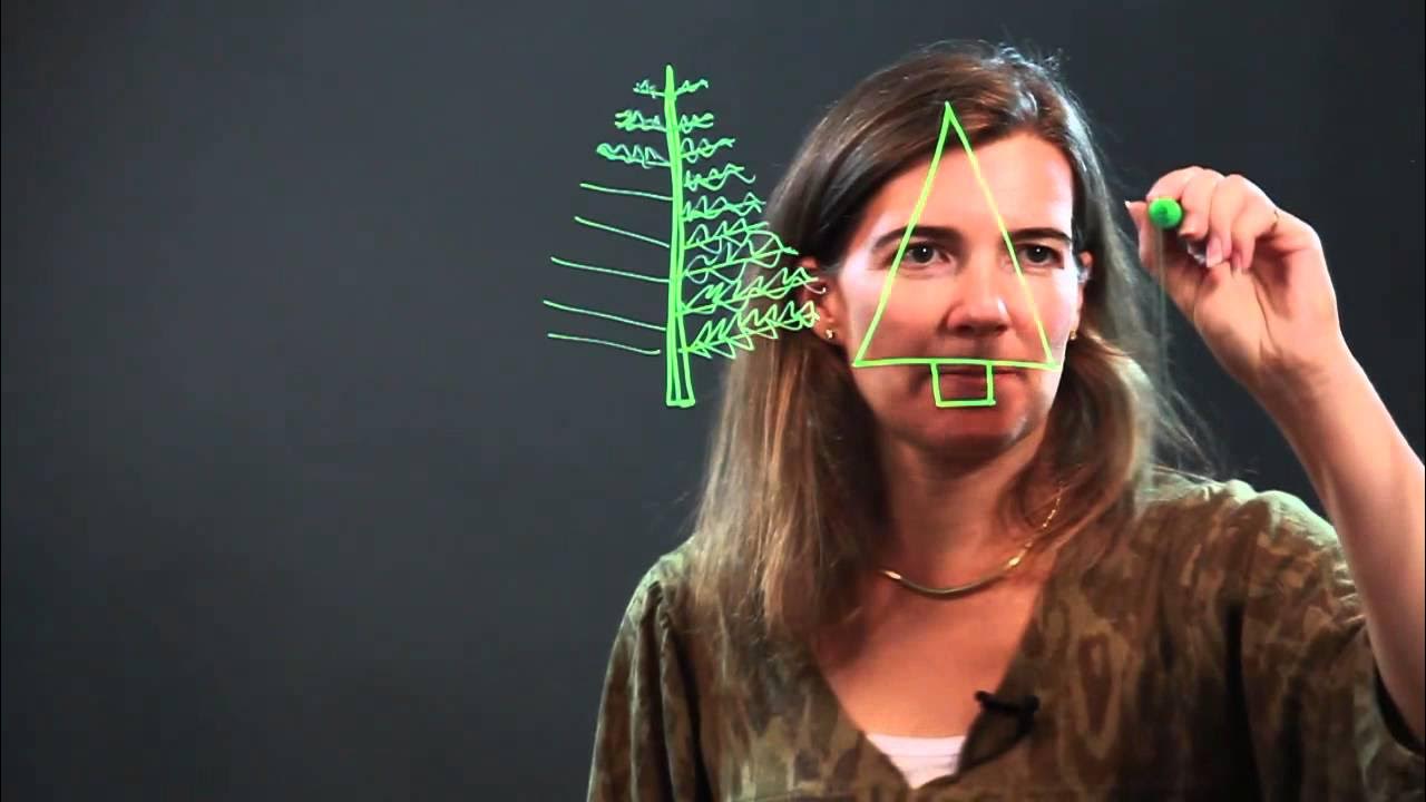 How to Draw Evergreen Trees for Kids - YouTube