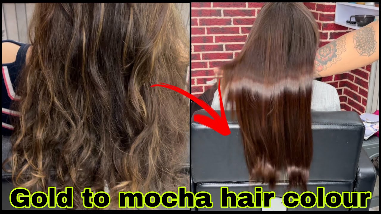 How to global Hair colour/ colour tutorial/colour cutter/ Basic hair ...