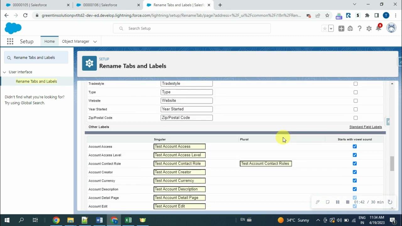 How can I rename or change a standard object or field in Salesforce? - YouTube