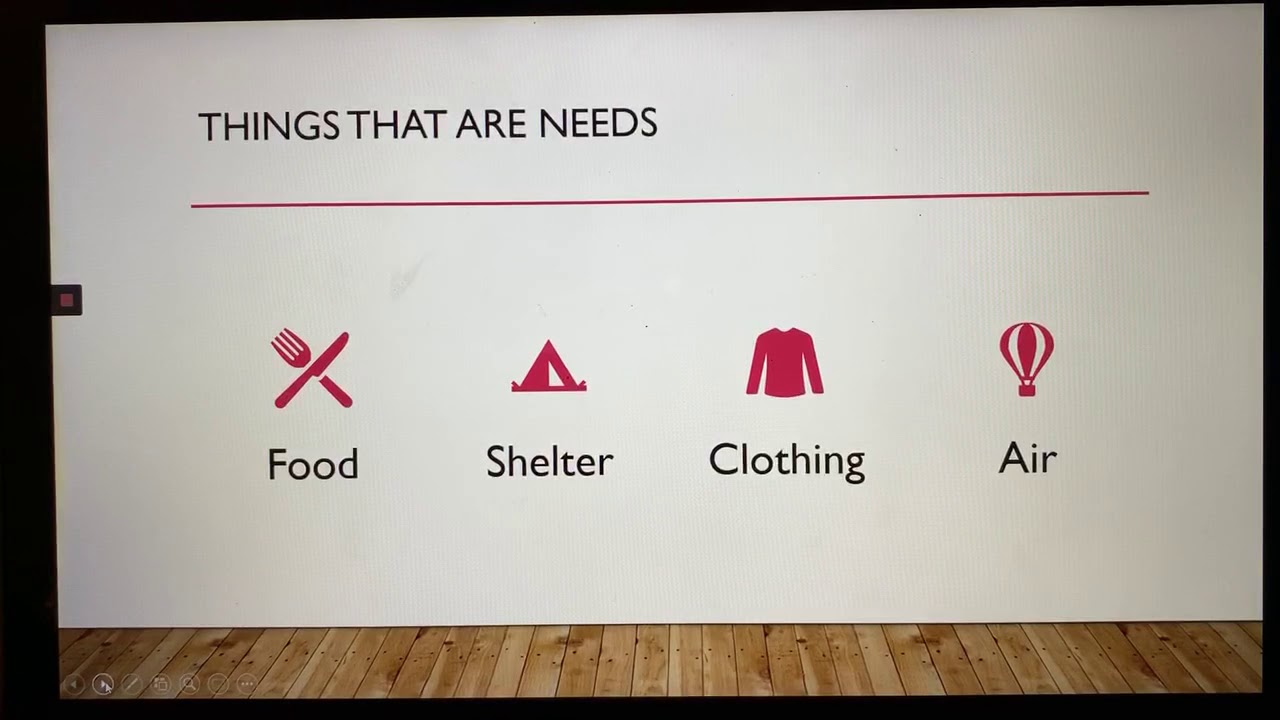 Social Studies - Needs and Wants - YouTube