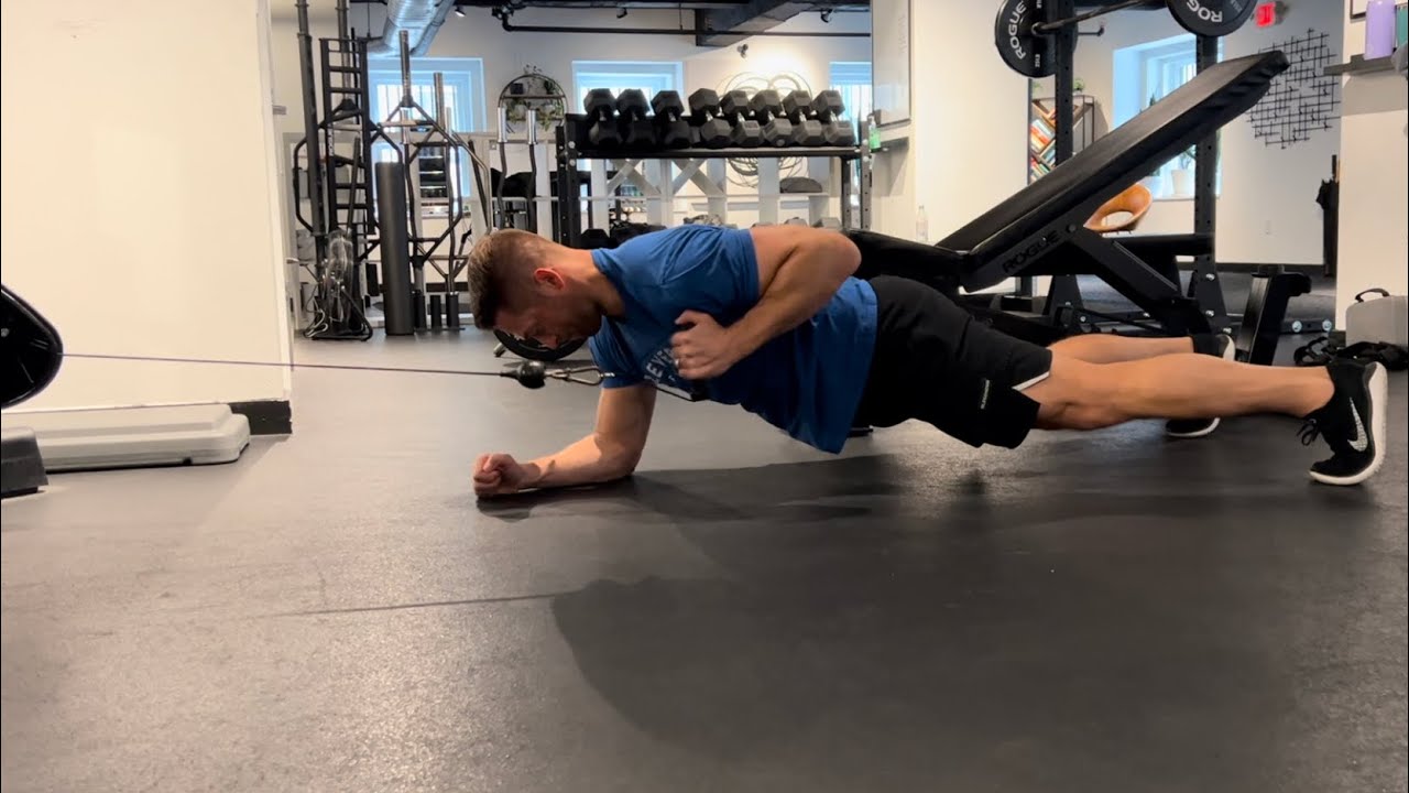 Single Arm Cable Plank Row - YouTube