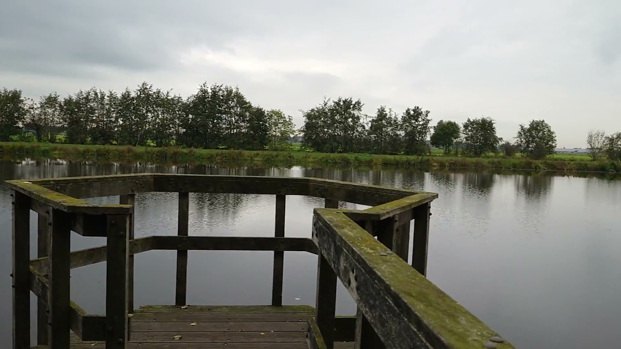 Sony Xperia 5 III: video-sample