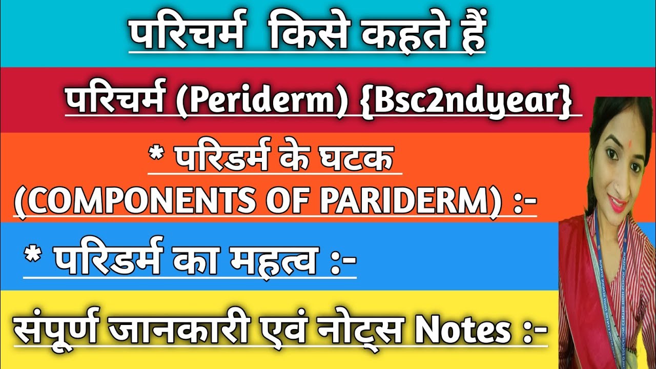 परिचर्म का संक्षिप्त टिप्पणी लिखिए। | Periderm | परिडर्म का महत्व ...