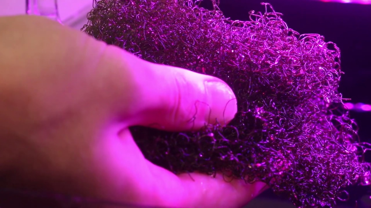 Finnex Refugium Plus - YouTube