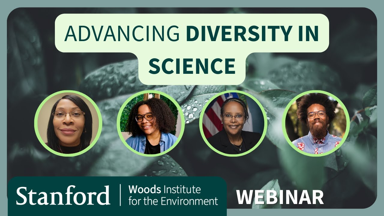 Breaking (and Reshaping) the Mold: Advancing Diversity in Science ...