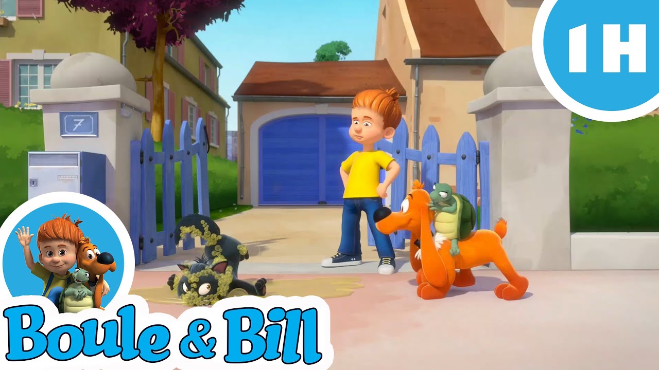 🐈 Boule et Bill s'amusent avec Caporal 😾- Nouvelle compilation Boule et ...