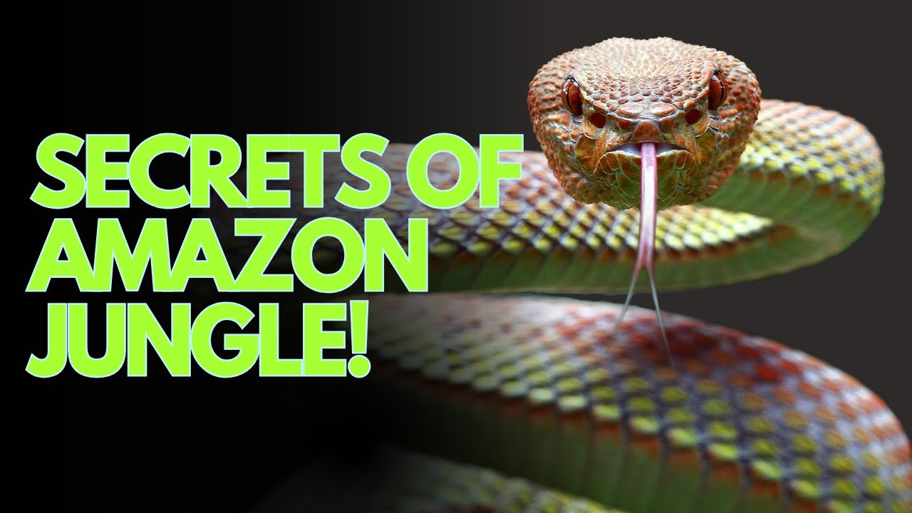 Amazon Jungle Documentary National Geographic Youtube