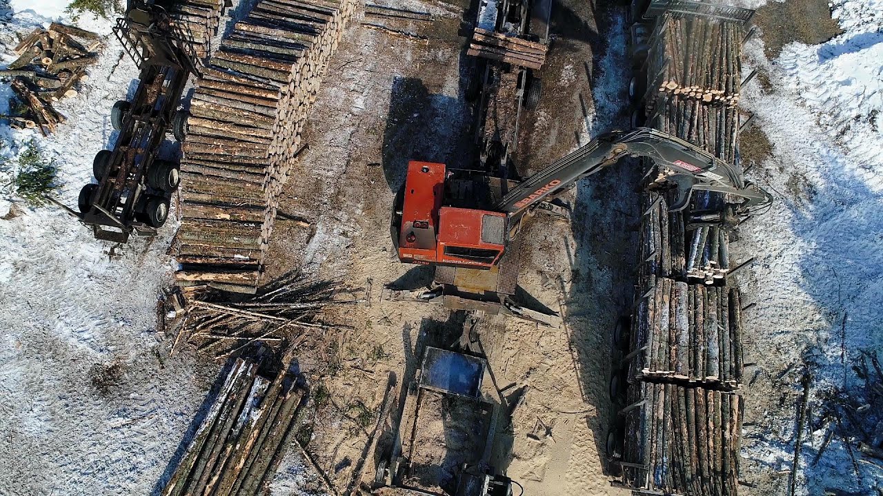 Minnesota Winter Logging: A Primer - YouTube