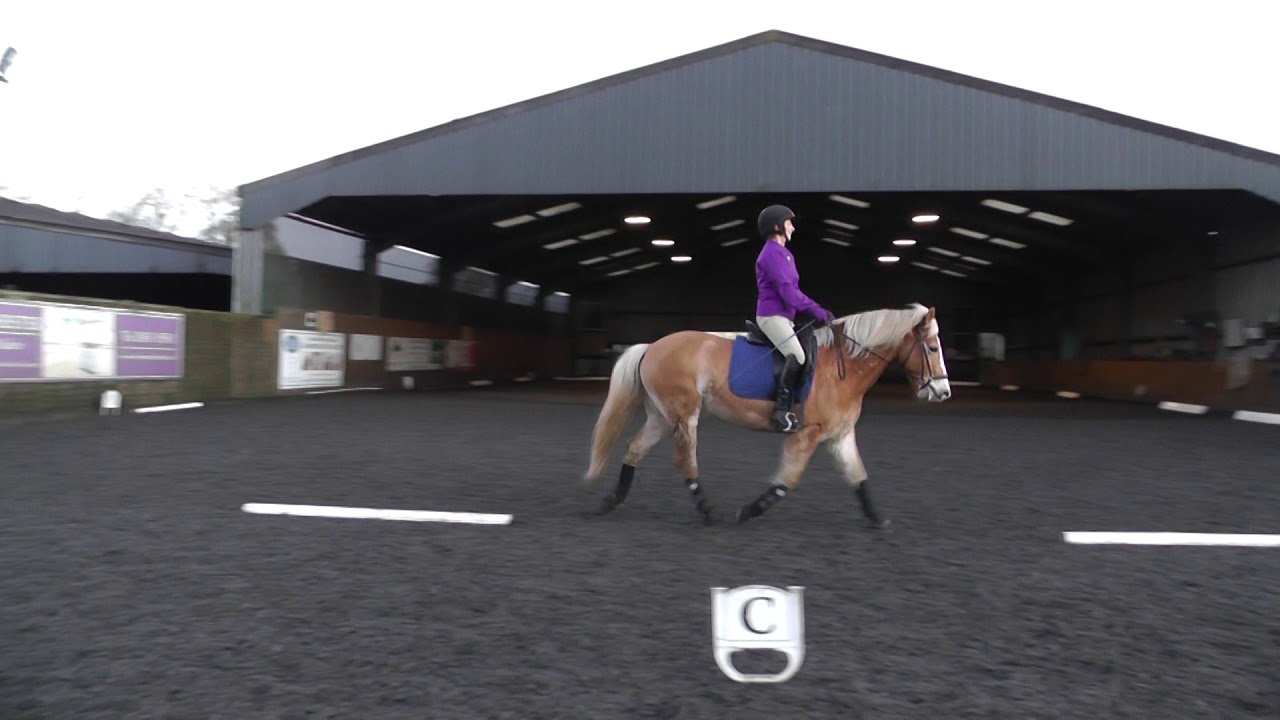 Susan Mattick Mosscarr Stratford Novice 28 5th Jan 2020 - YouTube