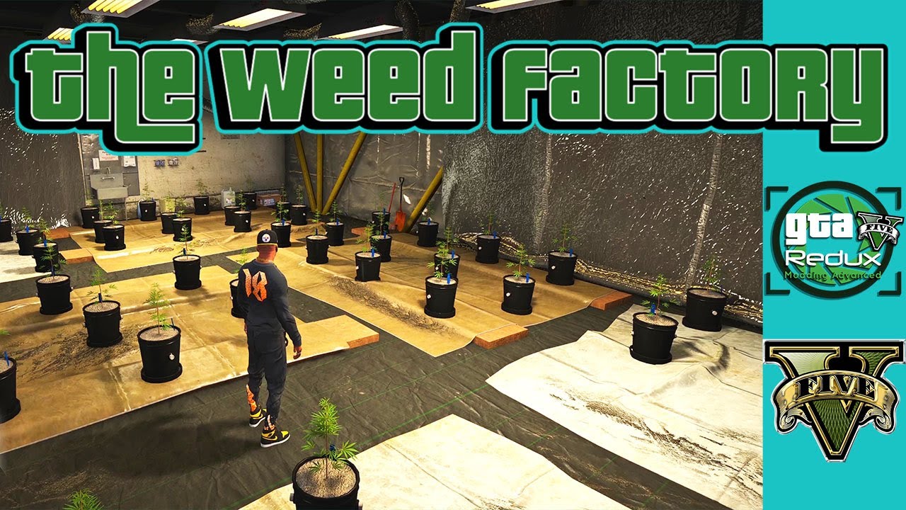 GTA 5 Mods - The Weed Factory - Jamal GHOST Williams - YouTube