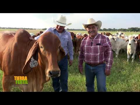 Tierra Fértil Tv - Primer resumen anual 2023 ( 23.12.23 ) - YouTube