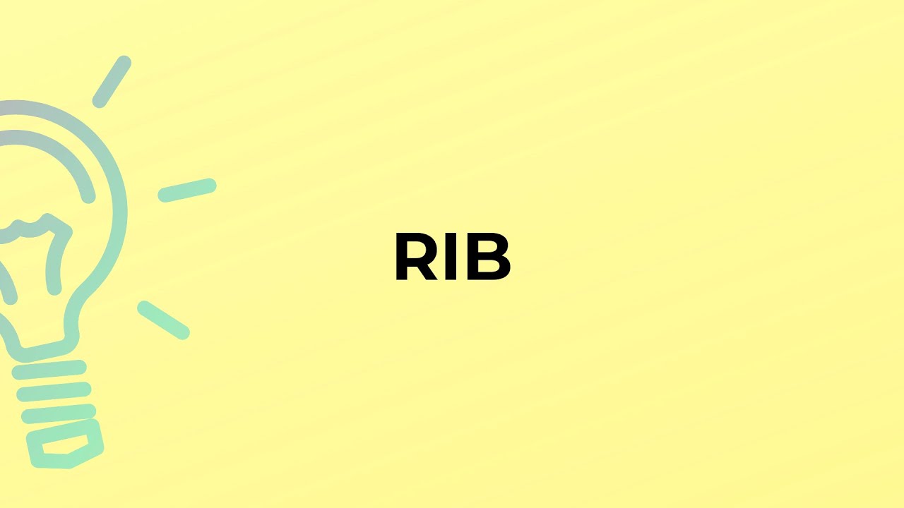 What is the meaning of the word RIB? - YouTube