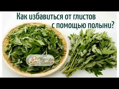 Как избавиться от ПАРАЗИТОВ сухой ПОЛЫНЬЮ (порошок ПОЛЫНИ от ГЛИСТОВ ...