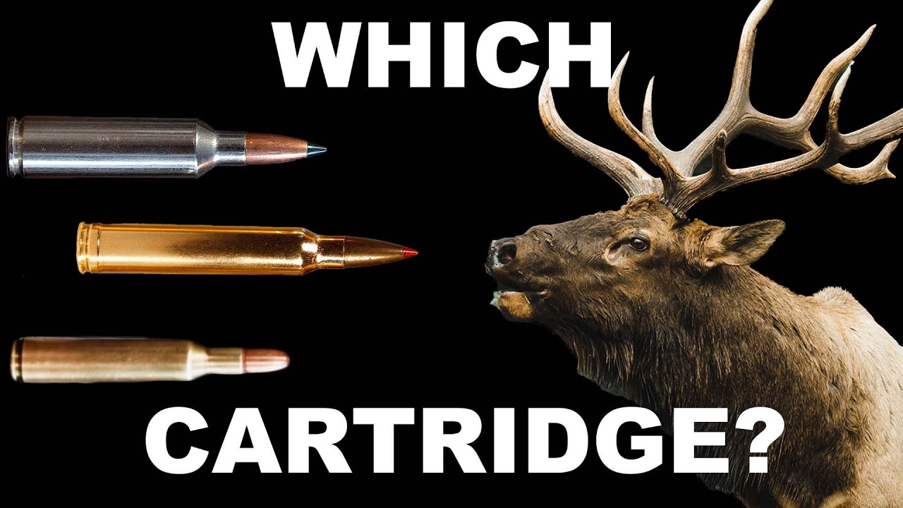 270 WSM, 300 Win, or 257 Roberts for Shooting Elk? - Season 2: Episode ...