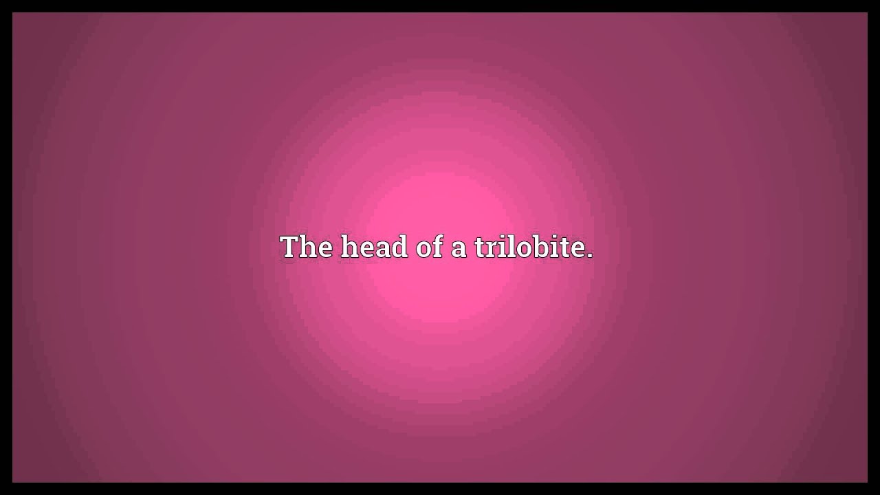 Cephalon Meaning - YouTube