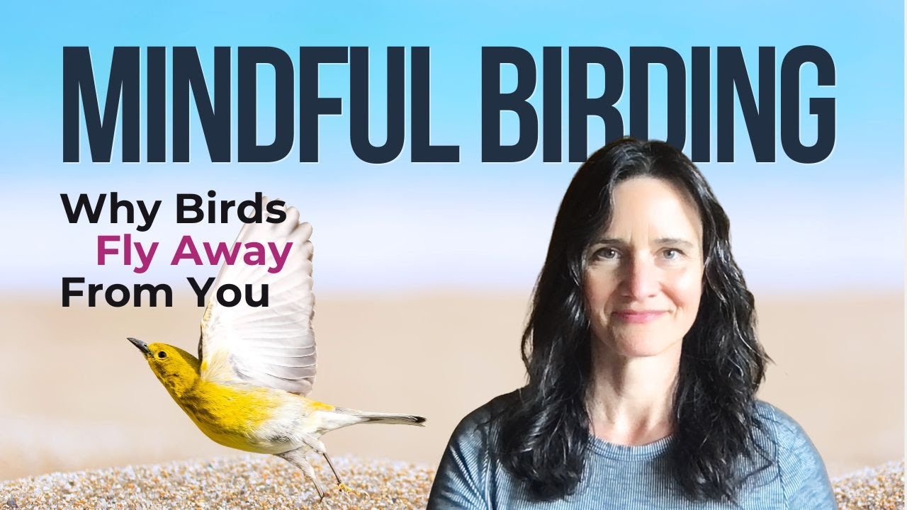 Don't Scare Birds Away - Mindful Birding - Meditation w. Birds 134 ...