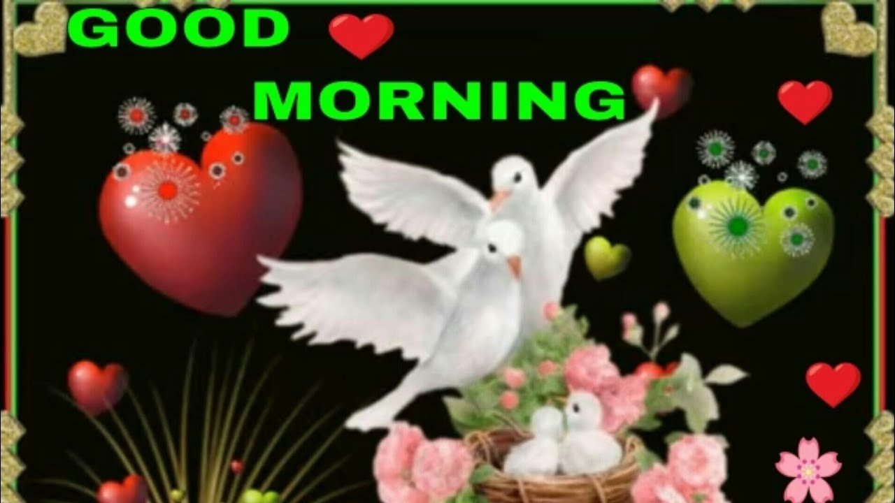 GOOD MORNING video - YouTube