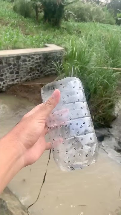 Perangkap Udang dari botol - YouTube