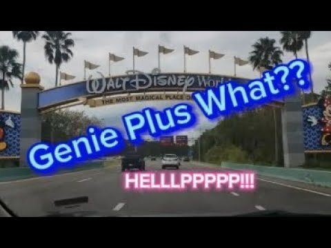 Disney's Genie Plus and the CONFUSION !!! Conversation with my phone ...