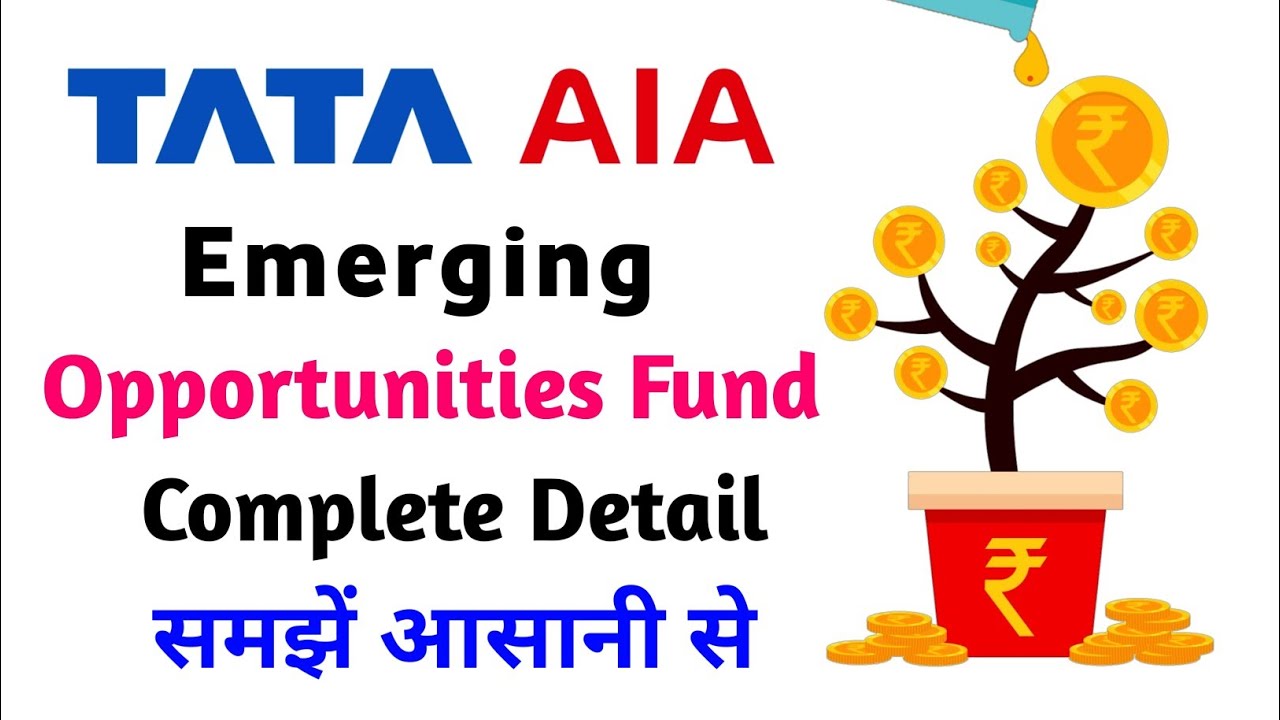 Tata aia emerging opportunities fund | tata aia life emerging ...