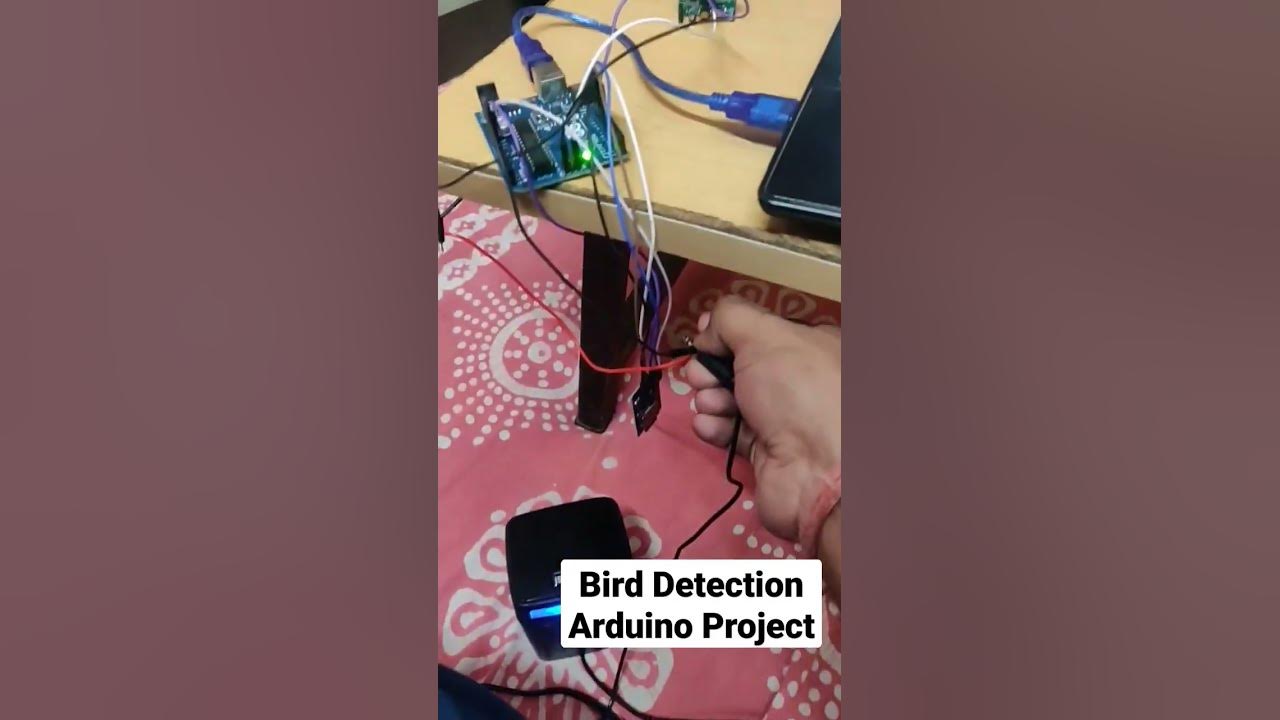 Bird Detection Arduino Project Design Birds Sound Arduinoproject Arduino Shorts