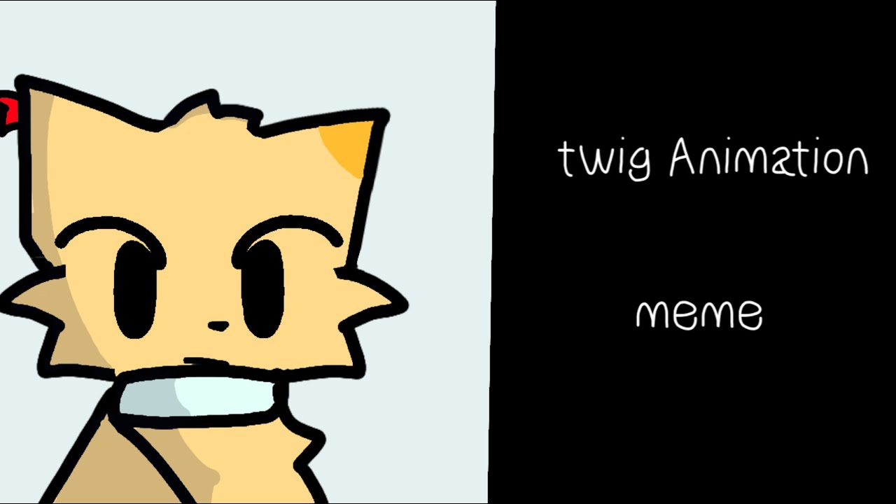 Twig/Animation meme - YouTube